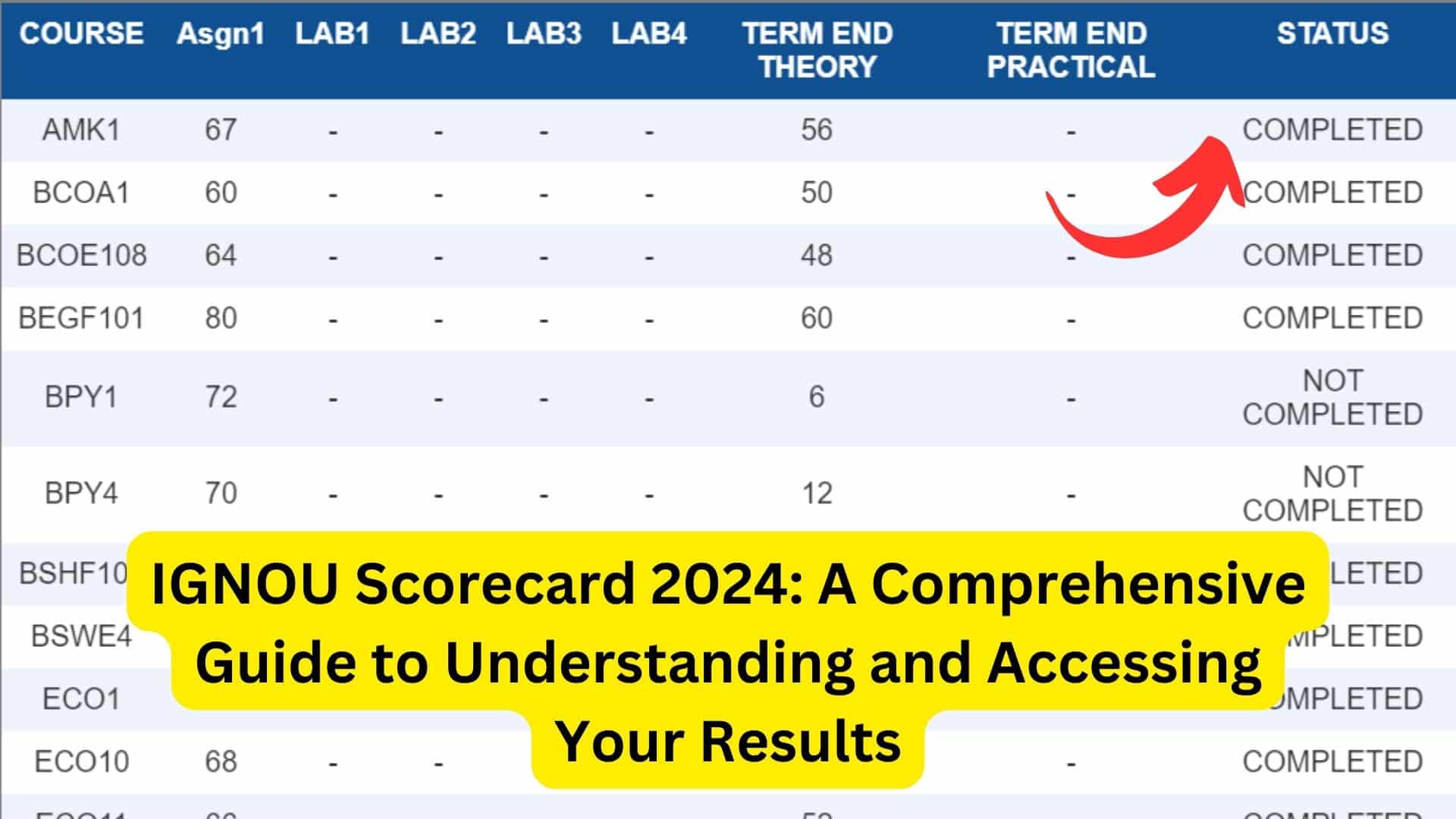 IGNOU Scorecard 2024: A Comprehensive Guide to Understanding and ...