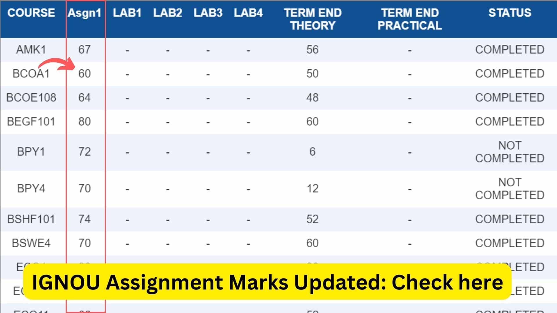 IGNOU Assignment Marks Check Link 2024 Direct Link Here IGNOU Assignment Marks Check Link 2024 Direct Link Here