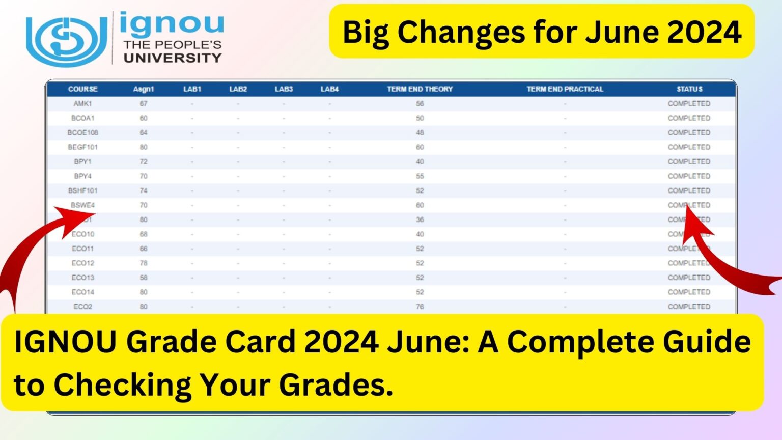 IGNOU Grade Card 2024-25: Check Status, Download, and Calculate Percentage
