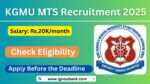 DAV Recruitment 2025: Complete Guide to Apply Online