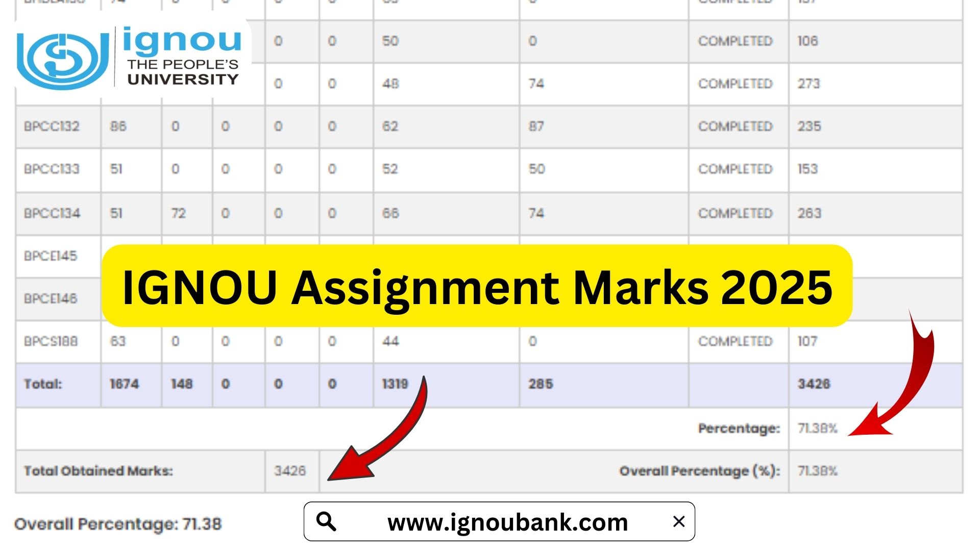 IGNOU Assignment Status Check 2025: A Complete Guide