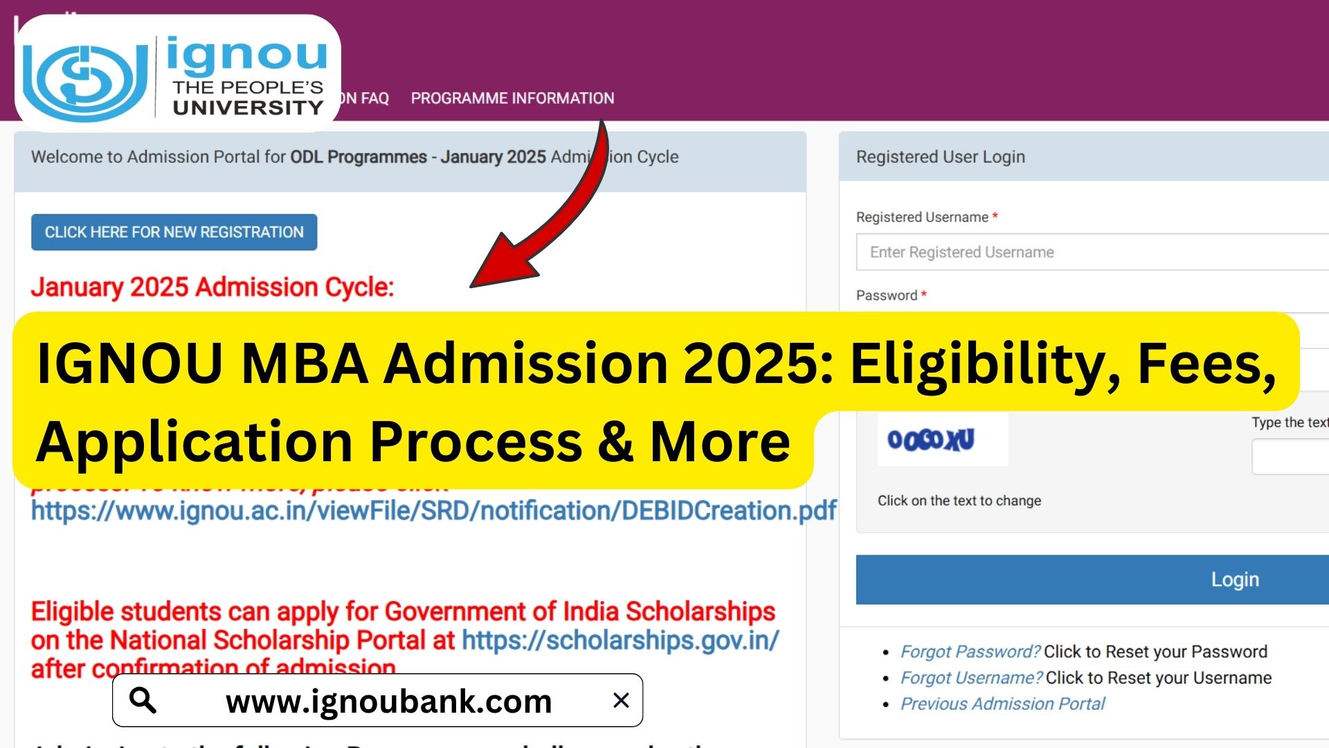 IGNOU MBA Admission 2025: Eligibility, Fees, Application Process & More