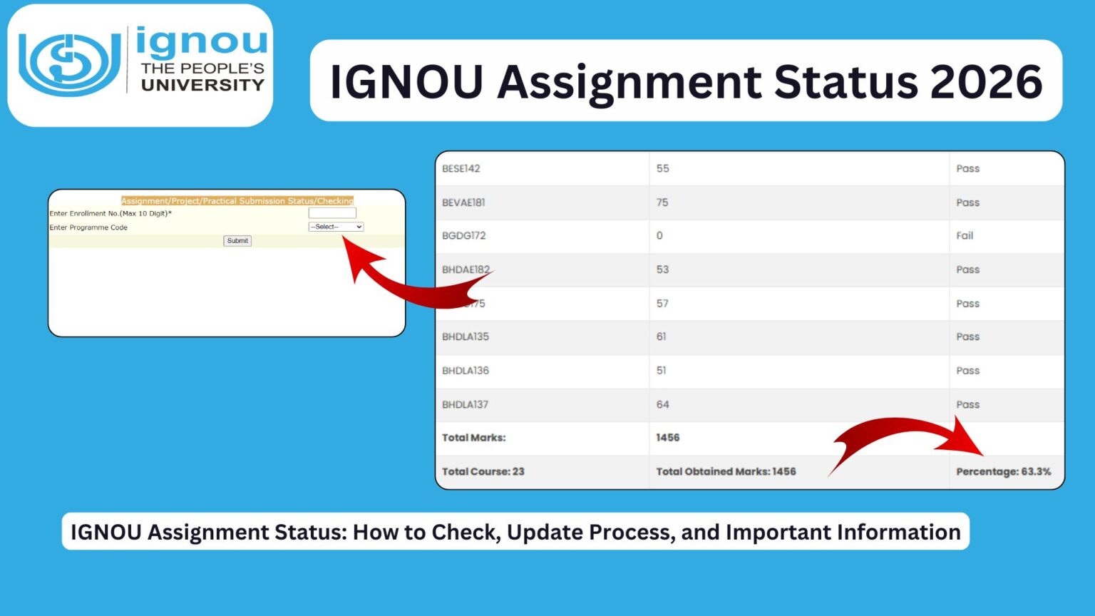 IGNOU Assignment Status: How to Check, Update Process, and Important ...