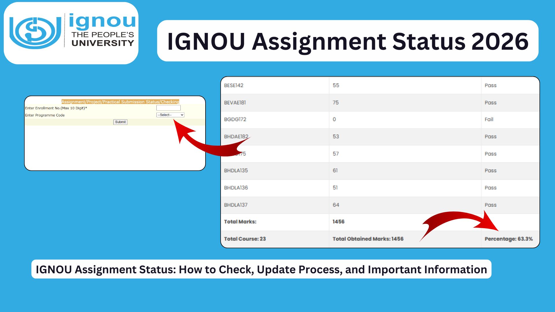 IGNOU Assignment Status: How to Check, Update Process, and Important ...
